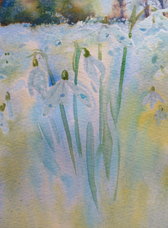 How to Paint Snowdrops in Watercolour with Julie King