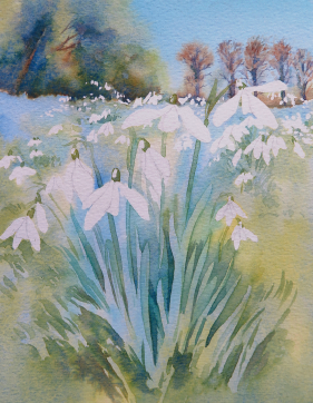 How to Paint Snowdrops in Watercolour with Julie King