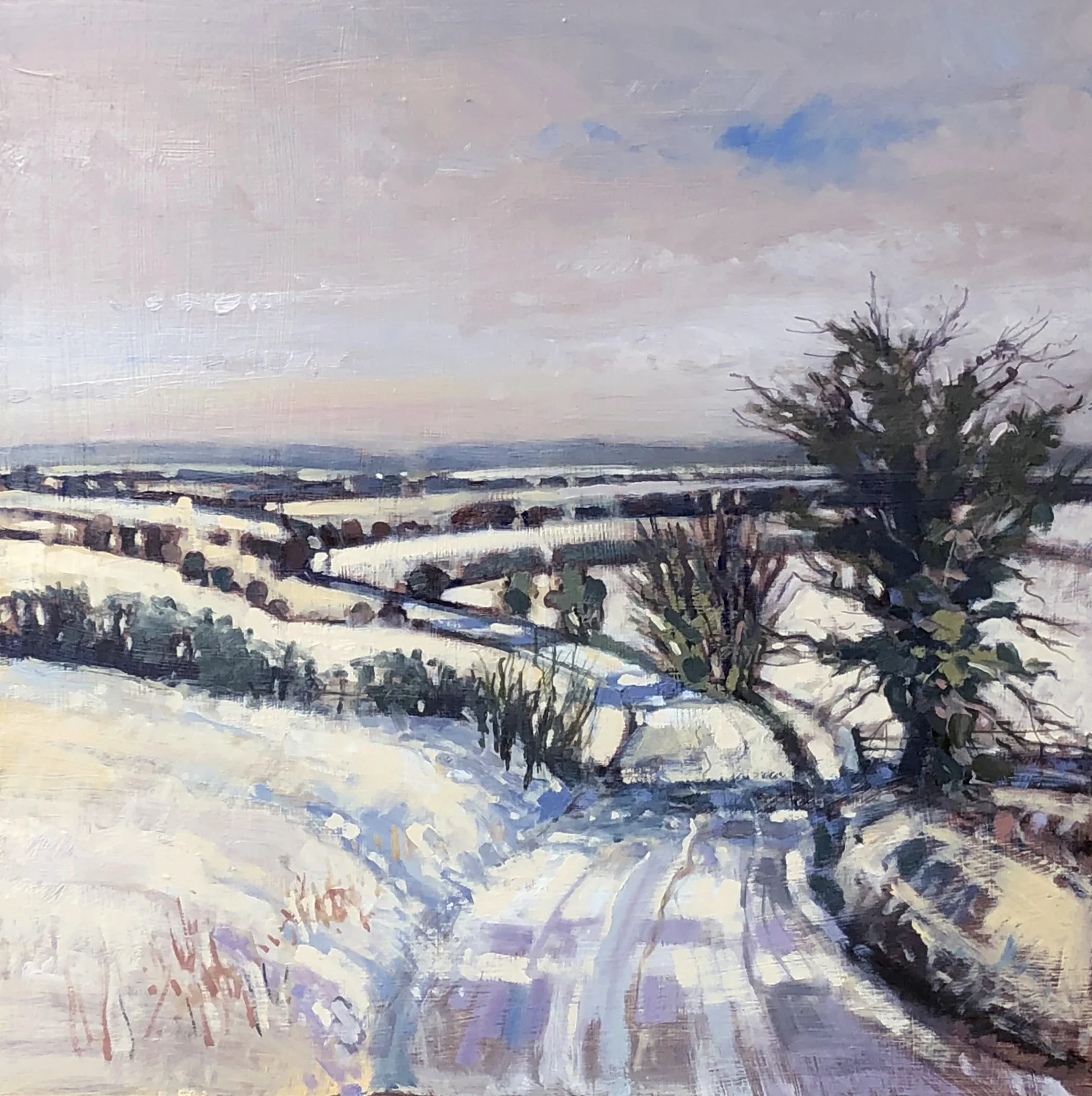 The Lane to Colton Heath with Alan Bickley