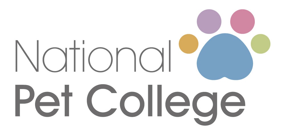 The National Pet College Launches New Website - Pet Product Marketing