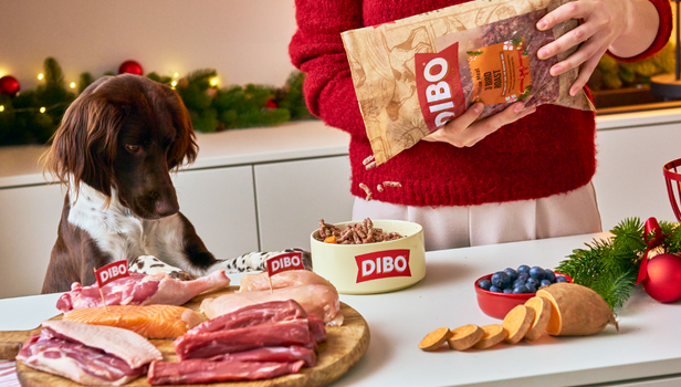 DIBO Launches Festive Packaging for Four Best-Selling Free Flow Meals ...