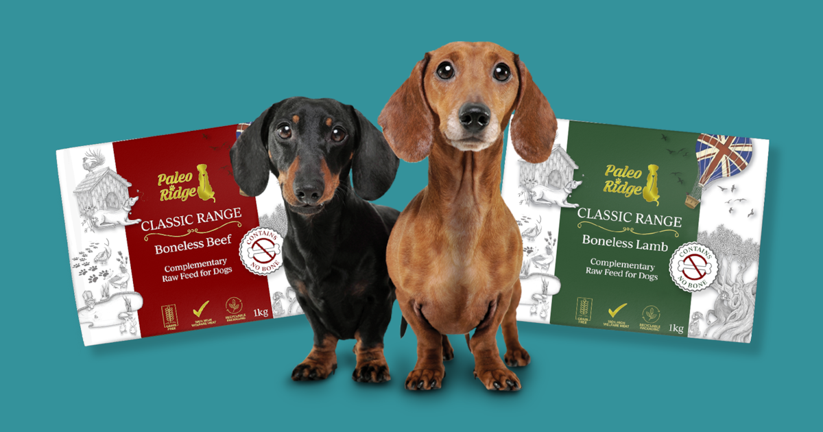 Paleo Ridge Expands Classic Range with New Boneless Meals for Dogs ...