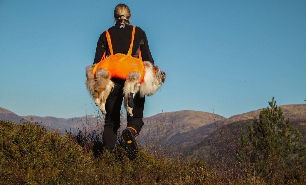 New Emergency Dog Rescue Sling - Pet Product Marketing