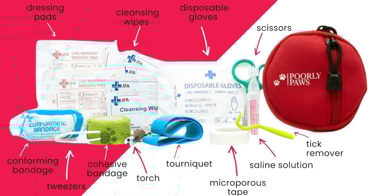 Poorly Paws Celebrates its First Year in Business with an Exclusive ...