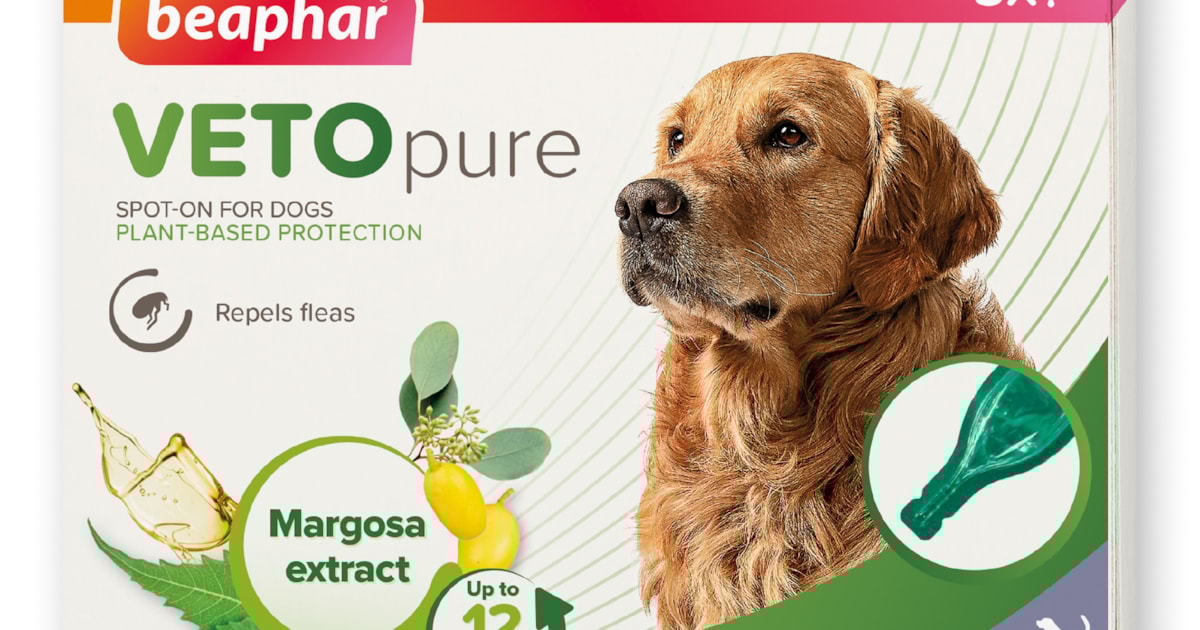 Beaphar launches plant-based protection with new herbal flea repellent ...