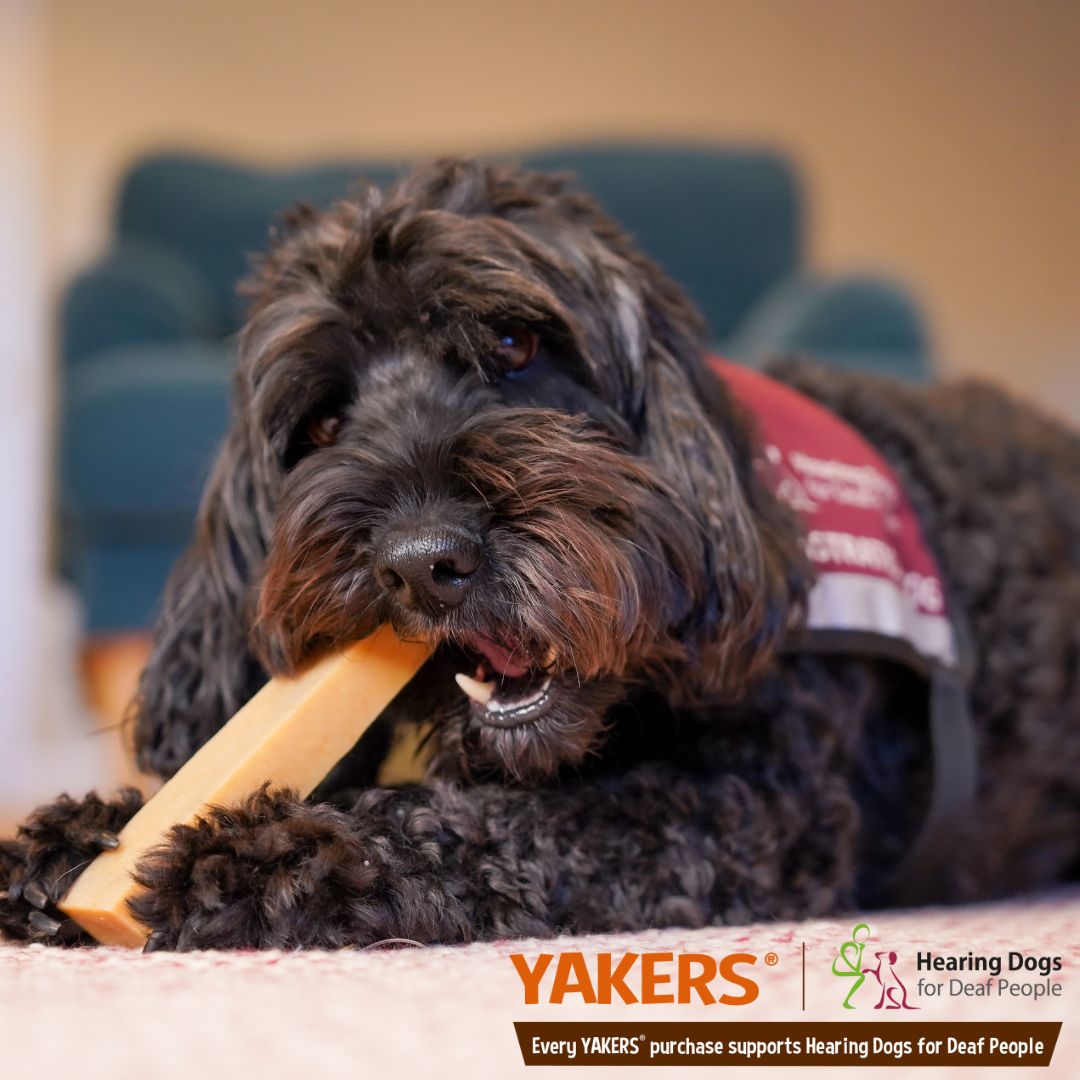 Kennelpak Announces YAKERS Charity Partnership with Hearing Dogs for ...