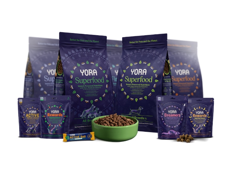 Yora wins Eco Brand of the Year - Pet Product Marketing