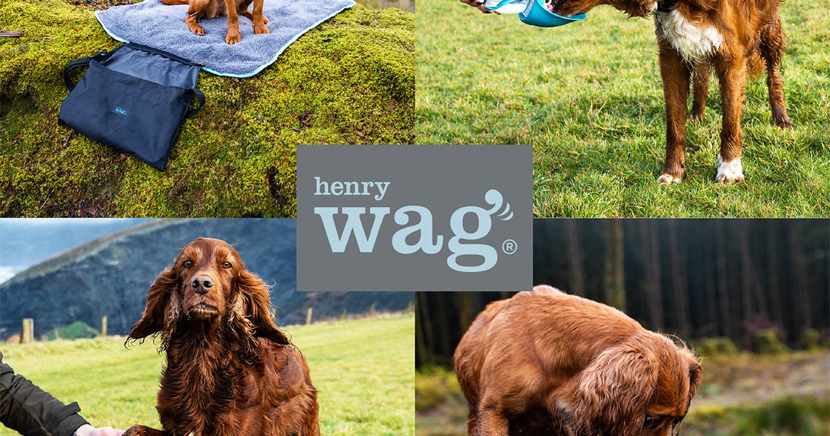 Henry Wag launches four brand-new travel accessories - Pet Product ...