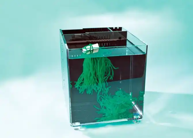 How to make your own spawning mop - Practical Fishkeeping