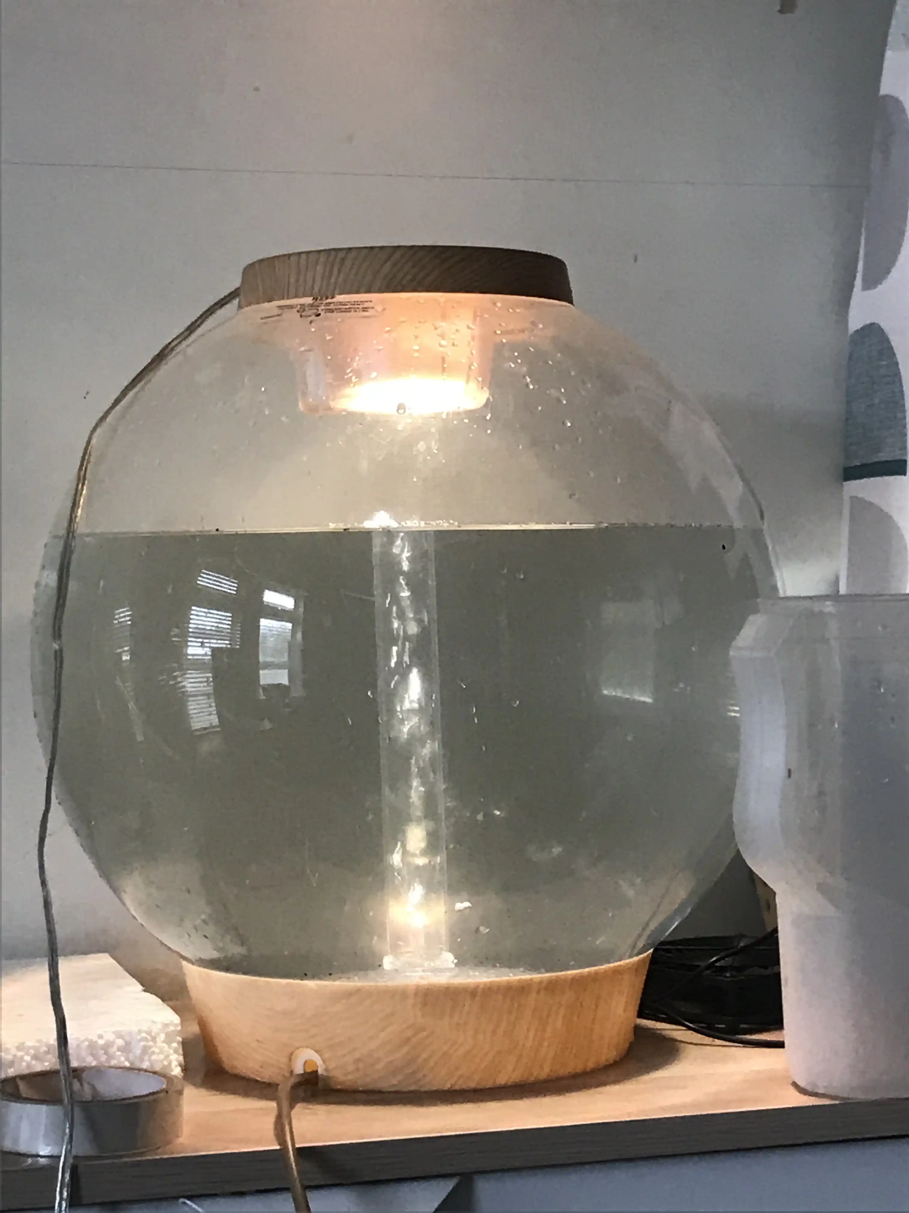 Fish Tank Ideas - Practical Fishkeeping