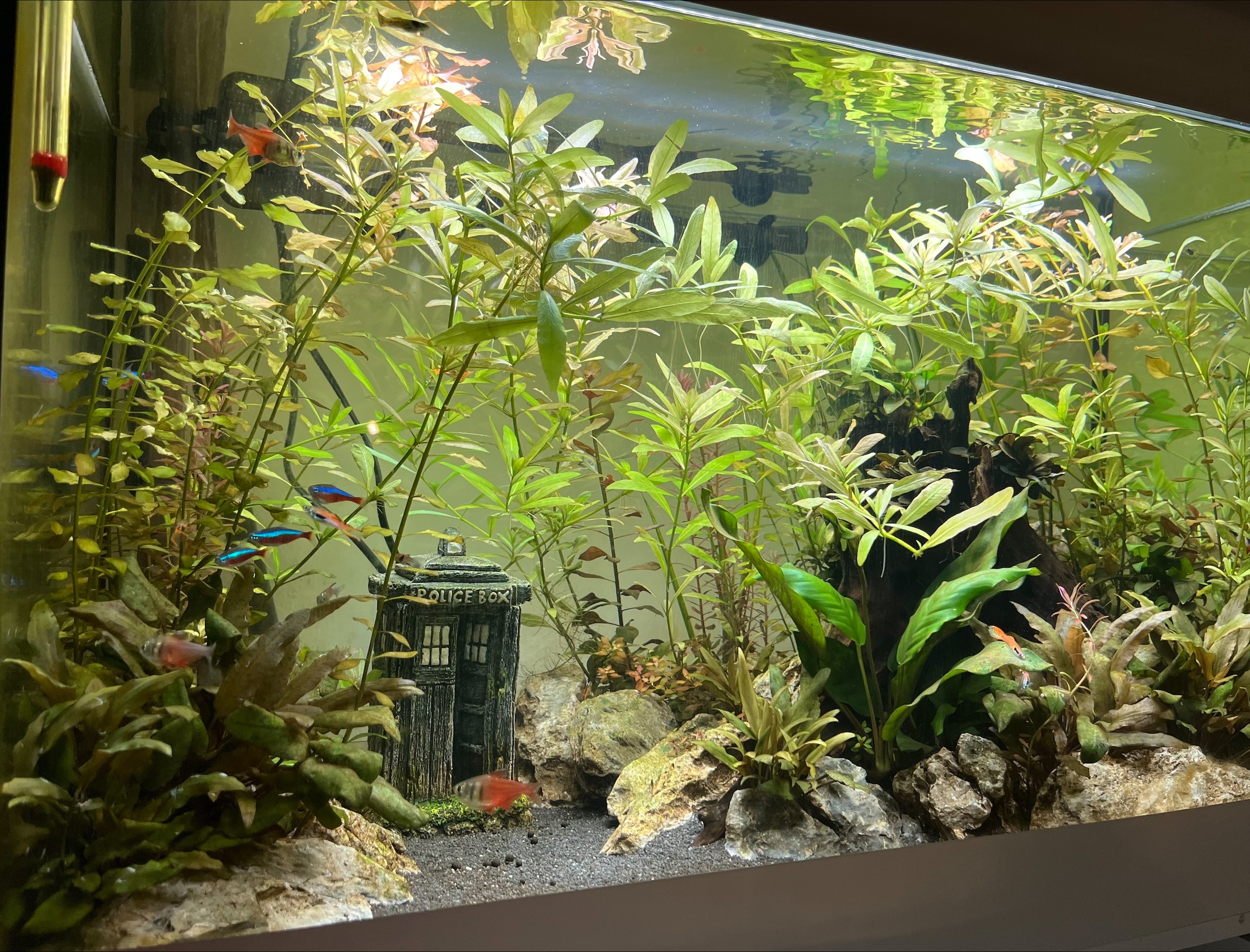 Brian Shearer - 0 - Practical Fishkeeping