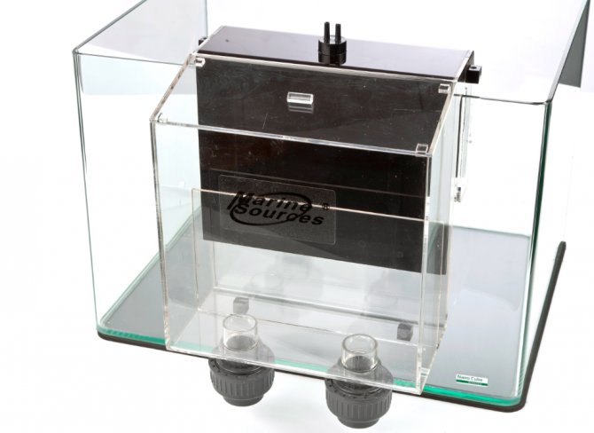 Review: Marine sump overflow box from All Pond Solutions - Practical ...