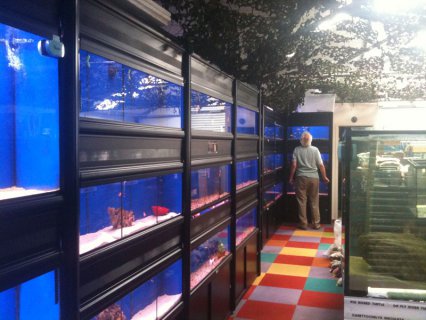 New aquarium shop opens in Kent - Practical Fishkeeping