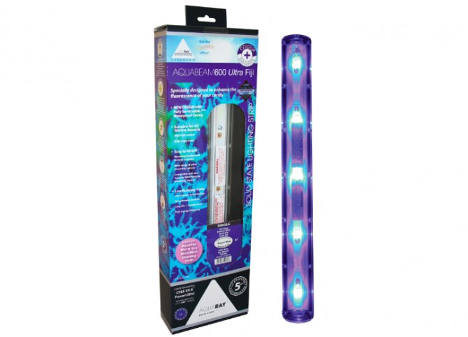 TMC launches new AquaRay 600 Ultra Fiji Blue LED light - Practical ...
