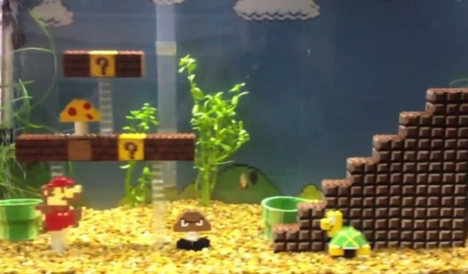 Video: Super Mario Bros fish tank - Practical Fishkeeping