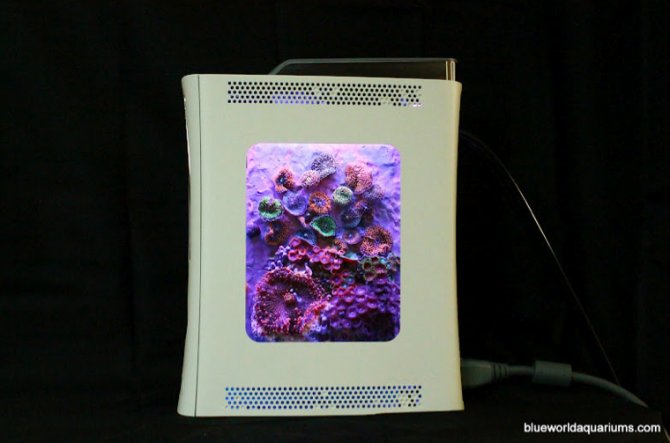 Xbox 360 reef tank! - Practical Fishkeeping