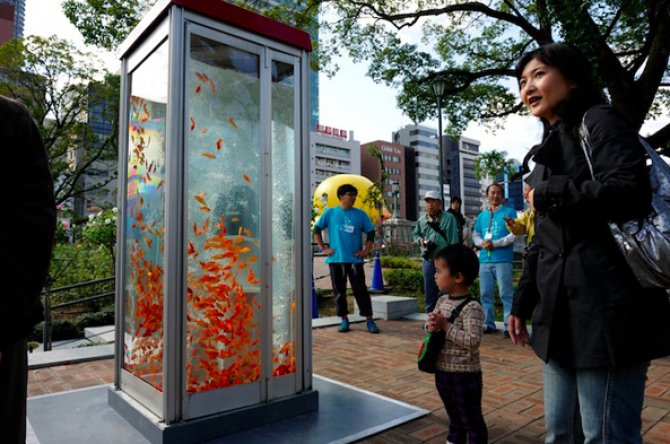 Old phone booths turned into fish tanks - Practical Fishkeeping