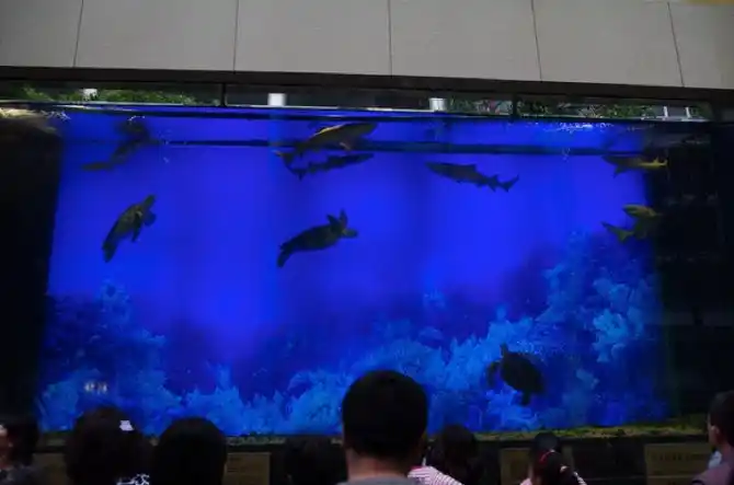 Caught on camera: The moment a giant tank exploded - Practical Fishkeeping