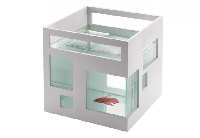 Award-winning design gives aquarium a modern twist - Practical Fishkeeping