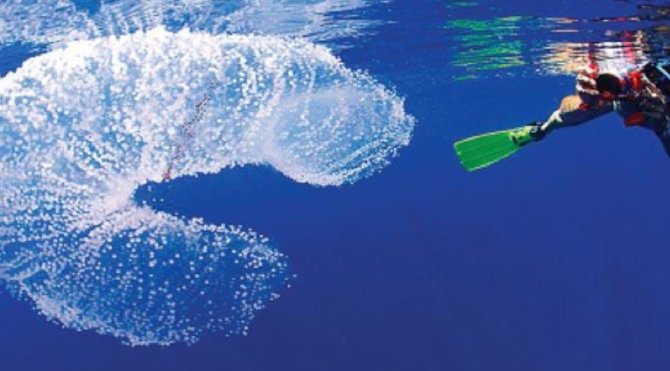 What is this mysterious human-sized 'blob'? - Practical Fishkeeping