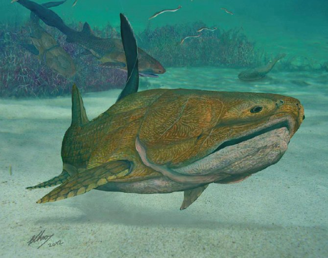 This is the world's oldest face - it could be your ancestor ...