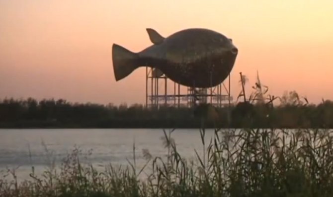 Video: Giant puffer fish statue erected in China - Practical Fishkeeping