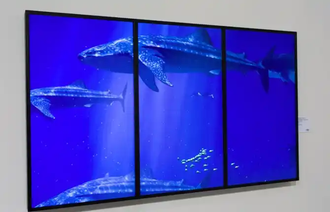 Video: Virtual aquarium where the fish will play with you! - Practical ...