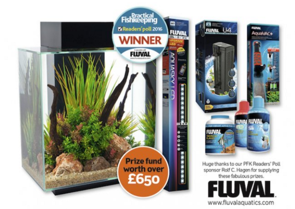 Vote now for your top shops, products and manufacturers! - Practical ...