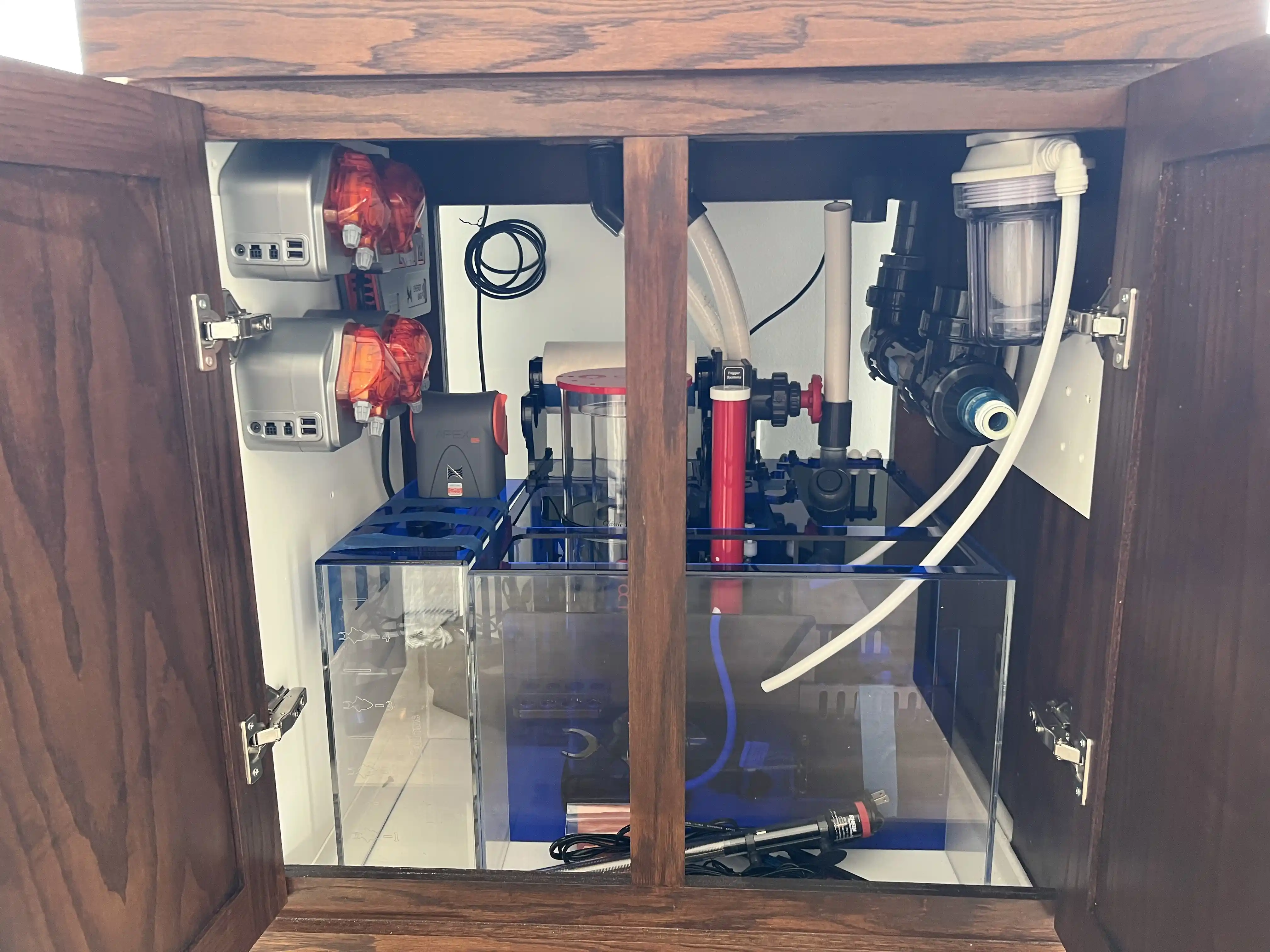 A guide to filtering using an aquarium sump - Practical Fishkeeping