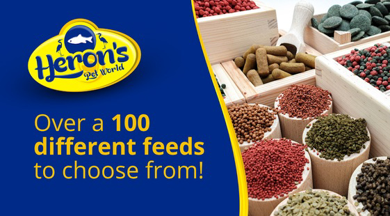 A huge hello from the UK’s Largest Fish Food Store! - Practical Fishkeeping