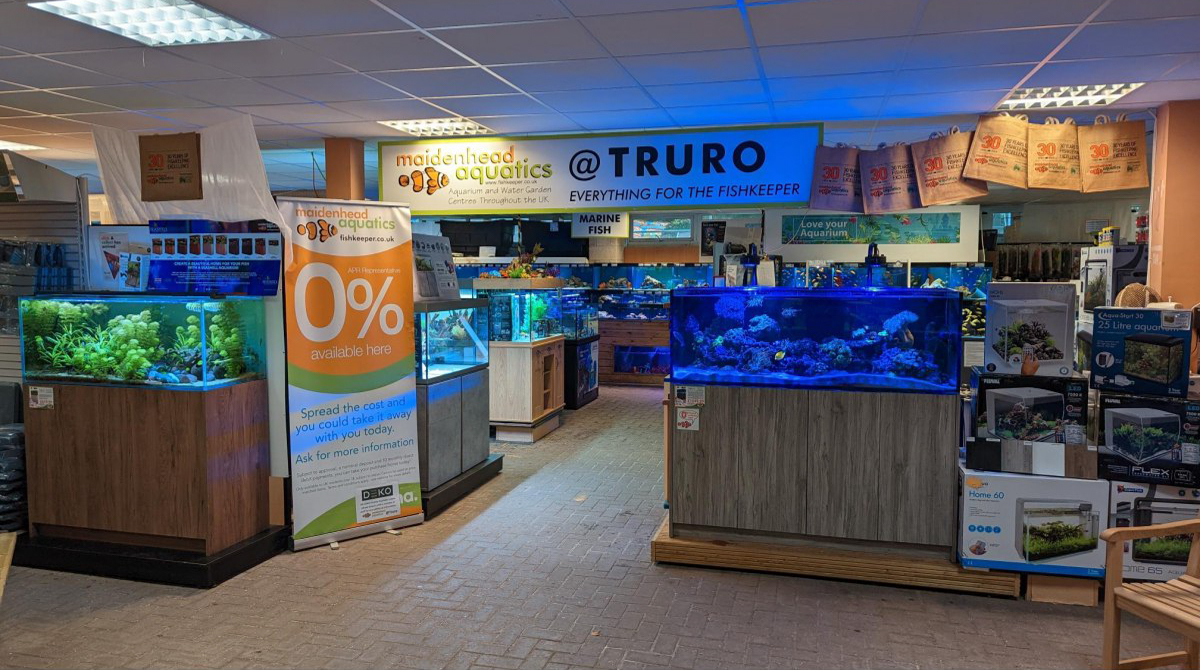 Waving goodbye to another fish shop - Practical Fishkeeping