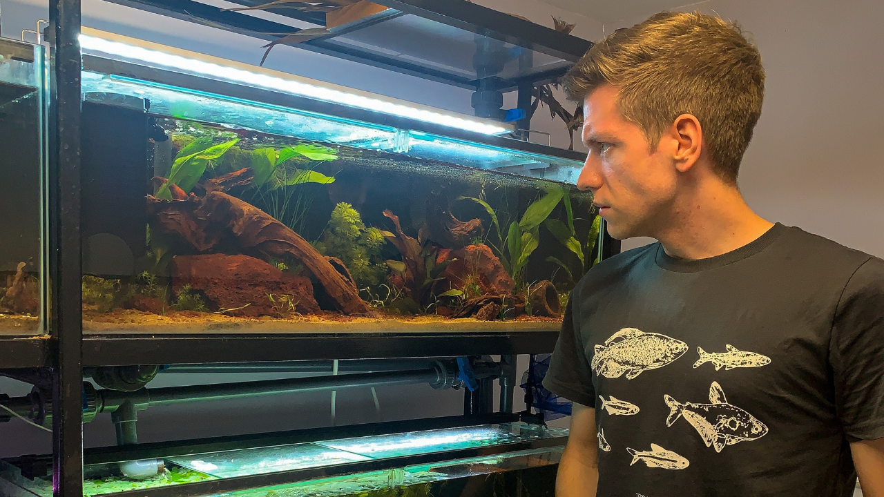 Meet Our New Practical Fishkeeping Editor: Alex Bell - Practical ...