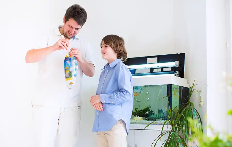 Getting your first aquarium fit for keeping fish - Practical Fishkeeping