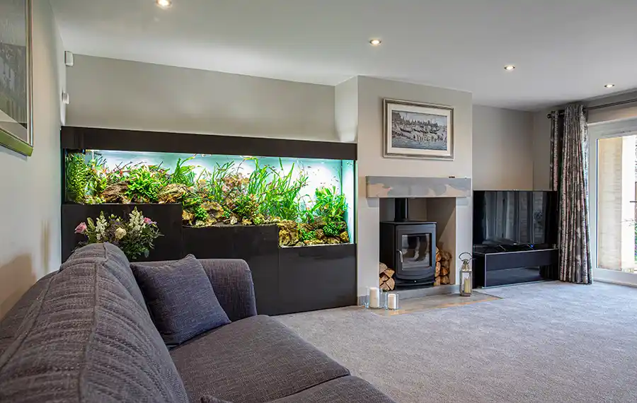 Huge double drop-off aquarium is a step above the rest - Practical ...