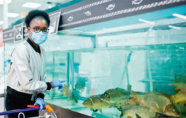 Obey the rules and use common sense to help protect our fish stores ...