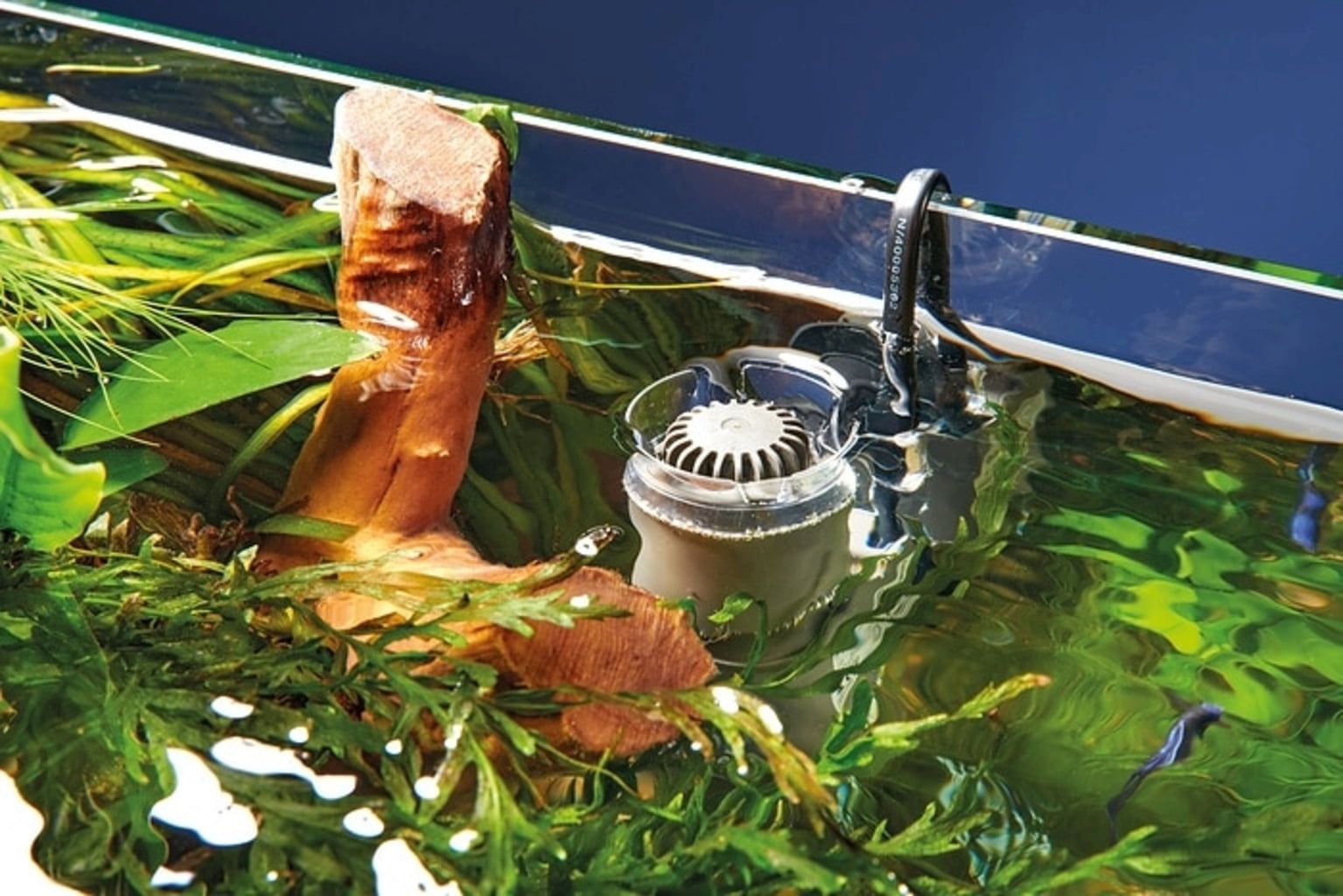 Surface Skim Off Review: Fluval SK400 vs the Oase CrystalSkim 350 ...