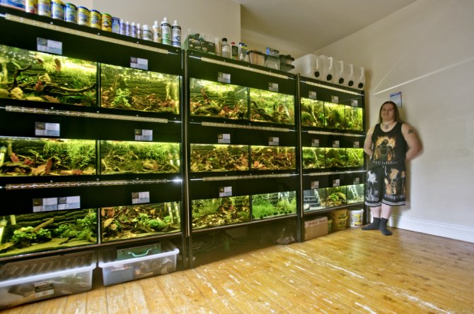 Your fish houses: Peter Clarke - Practical Fishkeeping