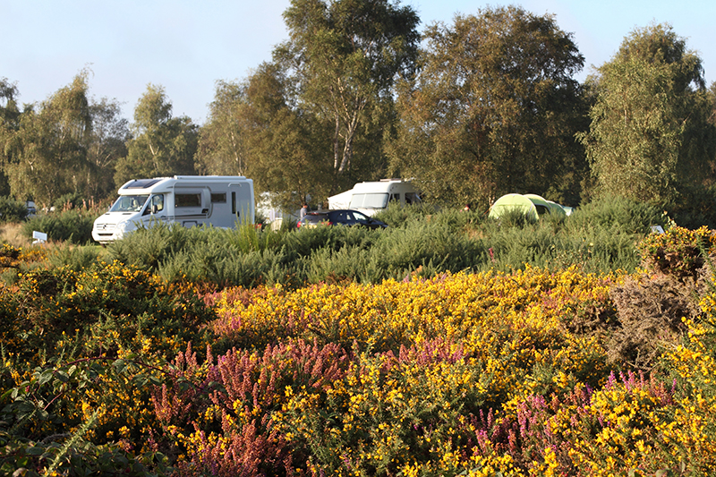 Kelling Heath - Premier Parks