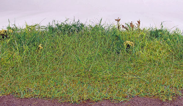 Model Railway Static Grass: All you need to know - World Of Railways